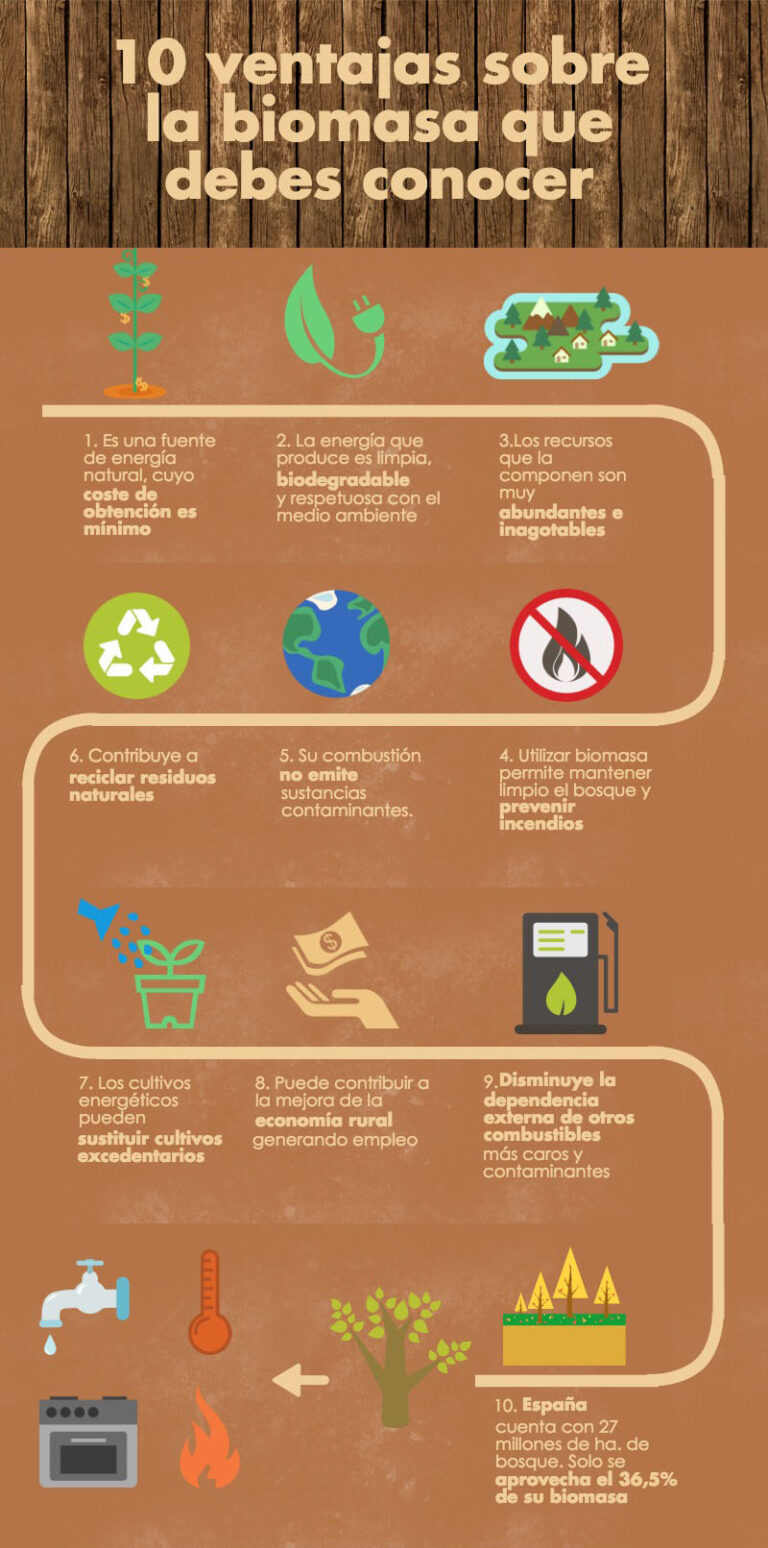 Todo lo que debes saber sobre la obtención de biomasa (2025)